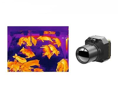 China Uncooled Infrared Thermal Camera Module Core 25Hz 30Hz for UAV Payloads for sale