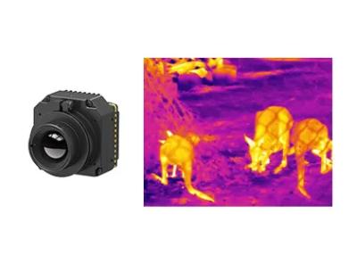 China LWIR Thermal Camera Module Uncooled Horizontally 30mK for ADAS for sale