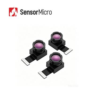 China Uncooled LWIR Thermal Security Camera Module with 256x192 Resolution, 12μm Pixel Pitch, and Focus Free Design for sale