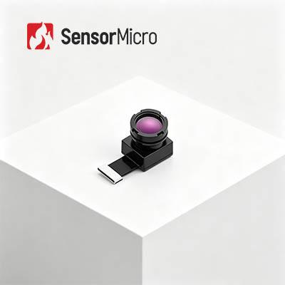 China LWIR 256x192 Resolution 12μm Pixel Pitch Focus Free Infrared Camera Module for Security for sale