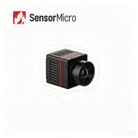 China 384×288 Resolution 17μm Pixel Size Infrared Thermal Imaging Core for Human Body Temperature Screening for sale