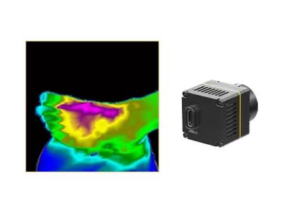 China Non Contact Thermal Imaging Module 17uM For Human Body Temperature Screening for sale
