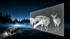 Shutterless Infrared Camera Module: Stable Smooth Observation for Wildlife Night Vision
