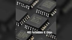 IC Chips 403 Forbidden Server Openresty