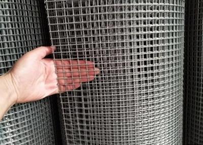 China Geschweißte Draht-Mesh Roll Used In Animal-Züchtung zu verkaufen