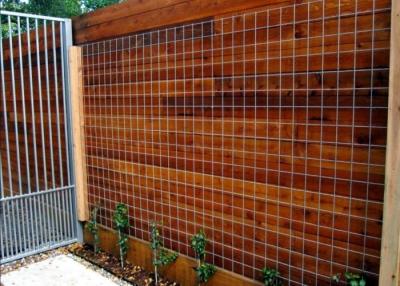 Cina Il PVC variopinto ha ricoperto la lunghezza di Mesh Galvanised Weld Mesh Sheet 0.6m 2m dell'hardware in vendita