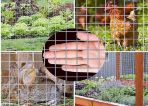 0.35-6.0mm Stainless Steel Welded Wire Mesh