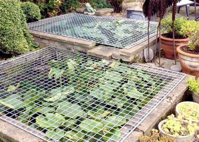 中国 耐久性のある保護のための、カスタマイズ可能な幅と電気亜鉛メッキ表面を備えたスポット溶接技術による溶接金網 販売のため