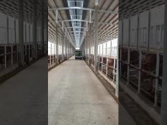 Electric Feed Spreader for Cattle & Sheep Barn, Narrow Passage Low Profile Design
