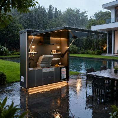 China Stainless Steel & Modular Design Outdoor Kitchen for Patio & Terrace – Pro Version for sale