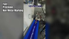 60W CO2 Laser Marker for Non-Metals for Laser code the bag