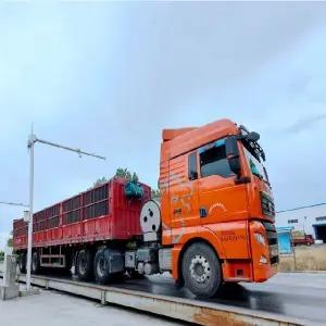 Quality Weighting Scale for Baling Machine for sale