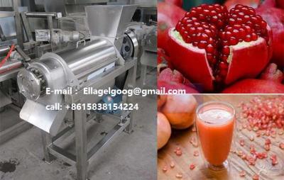 China Industrial Pomegranate/lemon/apple Juicer Machine With High Efficiency for sale