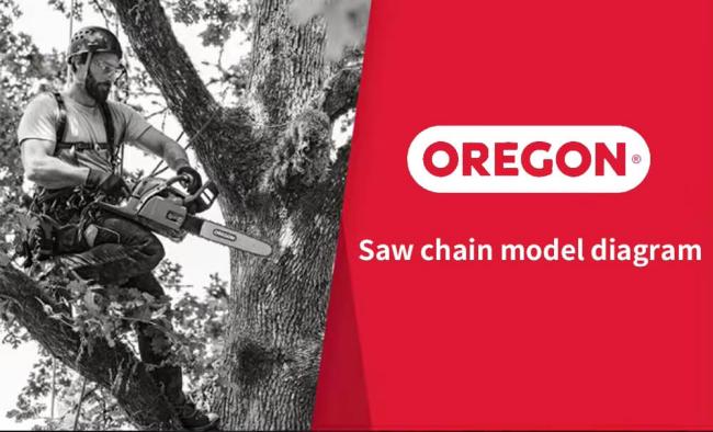 Oregon Chainsaw Chain product image