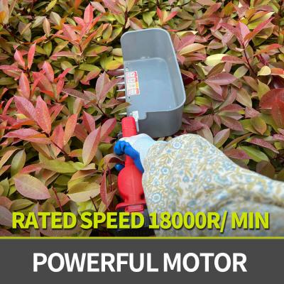 China Tea Harvesting Machine Lightweight Design Comfortable For Long Use for sale