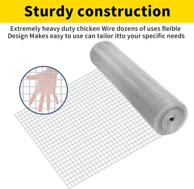 China Factory Sale Various Galvanized Welded Wire Mesh Fencing Welded Wire Mesh Price fence wire mesh for sale