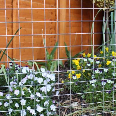 China Sell Well New Type 6x6 Concrete Reinforcing Welded Wire Mesh for sale