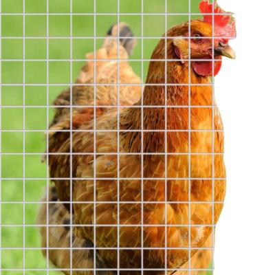 China Sell Well New Type 6x6 Concrete Reinforcing Welded Wire Mesh for sale