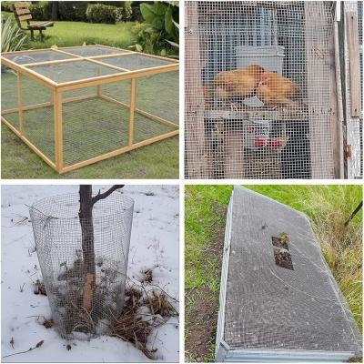 China New Arrival Latest Design China anping Wire Mesh Roll Product  welded wire mesh 3' 4' 16 gauge Farm Fence Roll for sale