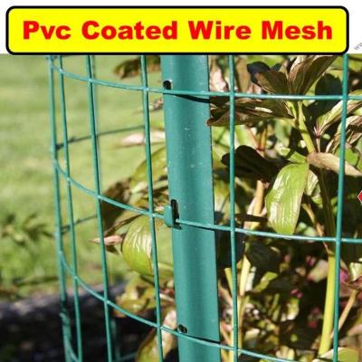 China Fabrik 1/2 X 1/2 PVC beschichtet galvanisiert geschweißtes Drahtnetz Preis Zaunnetz zu verkaufen