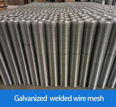 China Factory pvc coated welded wire mesh Iron Wire Mesh galvanized welded wire mesh Chicken and rabbit feeding for sale