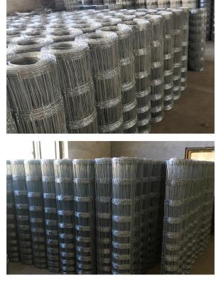 China Factory Hight Quality Goat Farming Field Fence For Sheep And Cattle for sale