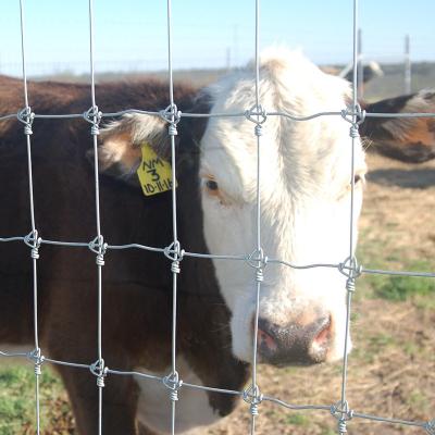 China Los fabricantes de Anping venden directamente alambre galvanizado de malla a prueba de óxido cerca de cría cerca de ganado y bloque de ovejas en venta