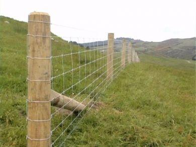 China Los fabricantes de Anping venden directamente alambre galvanizado de malla a prueba de óxido cerca de cría cerca de ganado y bloque de ovejas en venta