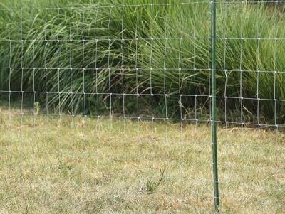 China Precio atractivo Nuevo tipo de fábrica de mayoristas de juego cercas de alambre de cabra cercas de campo de cercas producto en venta