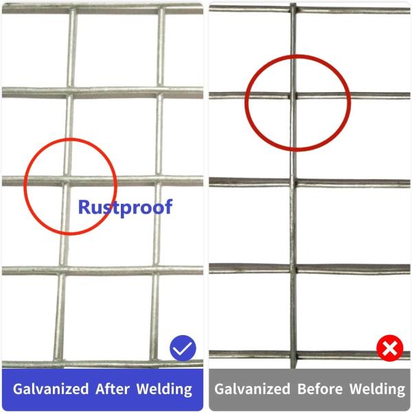 Quality Guaranteed Quality Proper Price Anping Wire Mesh Chicken Wire Mesh Roll Welded for sale