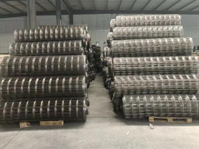 China Factory Sale Various Welded Wire Mesh From Anping Iron Wire Mesh  2x2 Galvanized Welded Wire Mesh for sale