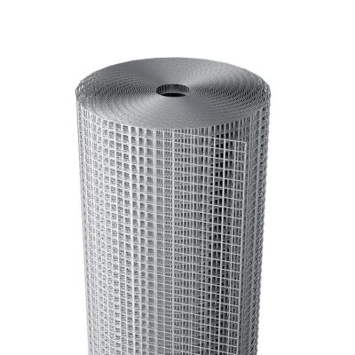 China 1x1 2x2 4x4 Square Hole Electro Galvanized Welded Wire Mesh Rolls in with Free Sample for sale