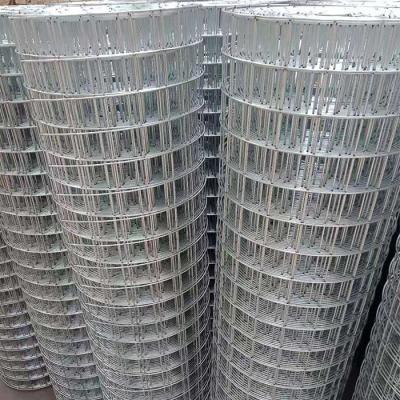 China 1x1 2x2 4x4 Square Hole Electro Galvanized Welded Wire Mesh Rolls in with Free Sample for sale