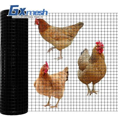China 0.2m-2m Height Anping Direct Guaranteed Welded Wire Mesh Black PVC 1x1 for Chicken Coop for sale
