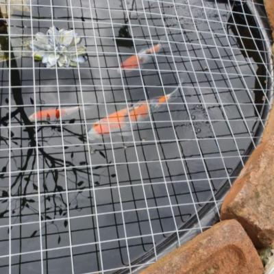 China Sell Well New Type Stainless Steel Mesh Net for sale
