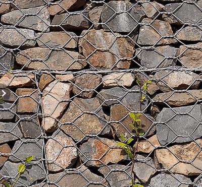 China Directly Supply 1X1X1 Galvanized Hexagonal Wire Mesh Gabion Box for Flood Control for sale