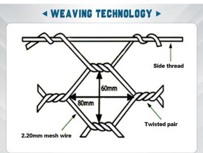 China Directly Supply 1X1X1 Galvanized Hexagonal Wire Mesh Gabion Box for Flood Control for sale