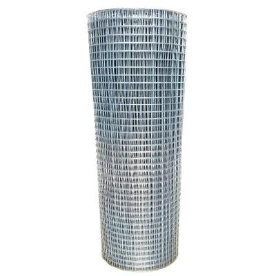 China Guaranteed Quality Proper Price  Welded Wire Mesh Galvanized  Electro  Galvanized Mesh for sale