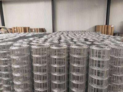 China Guaranteed Quality Proper Price  Welded Wire Mesh Galvanized  Electro  Galvanized Mesh for sale