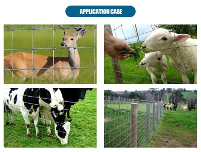 China Silver Hot Dip Galvanized Wire Weaving Wild Link Joint Fence Cattle Sheep Deer Fence for sale