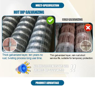 China Silver Hot Dip Galvanized Wire Weaving Wild Link Joint Fence Cattle Sheep Deer Fence for sale