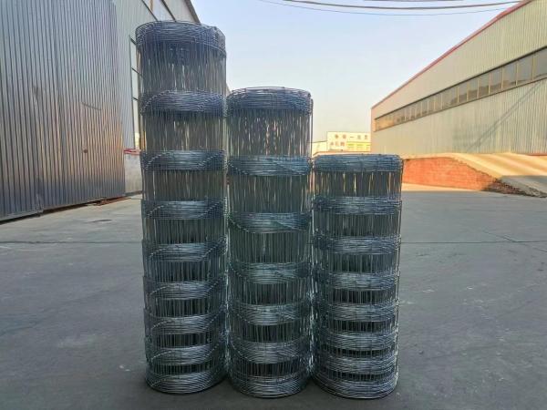 Quality Residential Galvanized Welded Mesh Fence for Poultry Housing and Cattle at Low for sale