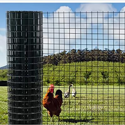 China Fabricantes Venta directa de malla de alambre soldada recubierta de PVC malla de alambre soldada malla de alambre laminada malla de alambre soldada en venta