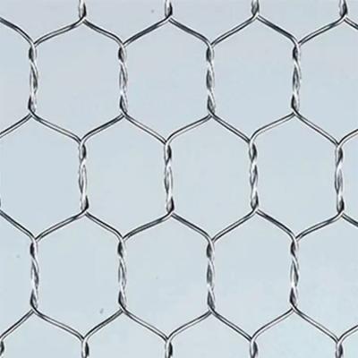 China 10X12 Gabion Box and Heavy Hexagonal Wire Nettings for Strengthening Retaining Wall for sale