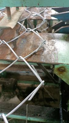 China Professional Manufacture Promotion Iron Chain Link Fence for Residential Properties for sale