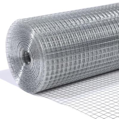 China Manufacturers Direct Selling Galvanized Stainless Steel Rust Welded Wire Mesh 12x12 Pvc Coated Welded Wire Mesh Roll for sale