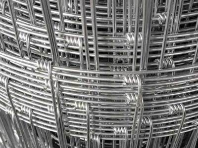 China Special Design Galvanized Barbed Wire Great Protection for Multiple Applications for sale