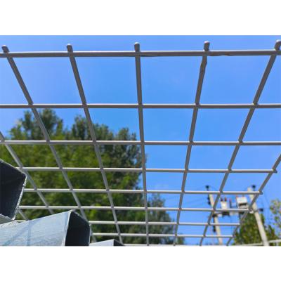 China Galvanized PVC Coated Welded Wire Mesh Panel For Gabion Farm Fence With Custom Size for sale