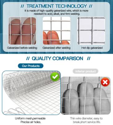 China Galvanized Fencing Iron Netting for Rabbit and Bird 10 Gauge Welded Wire Mesh Rolls for sale