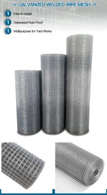 China Square Hole Farm Fence Galvanized Brc Welded Wire Mesh Roll with Square Hole Shape for sale